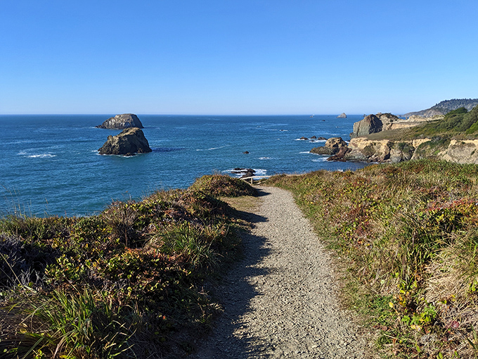 The path less traveled often leads to the best views. This coastal trail promises ocean vistas worth every step.