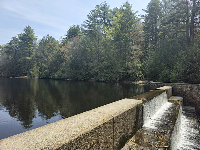 This dam creates the perfect swimming spot where even adults remember how to cannonball with style.