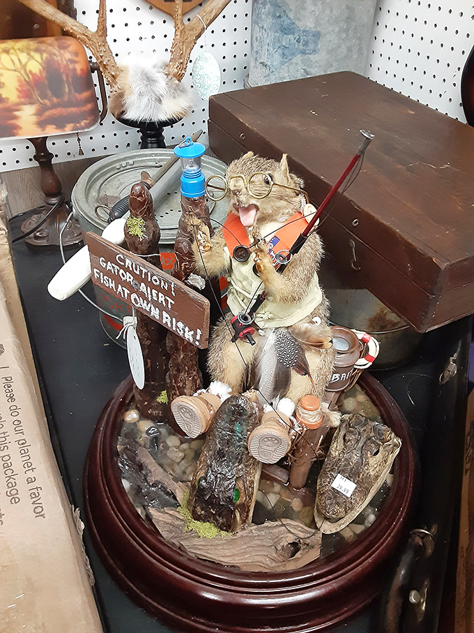 Taxidermy meets whimsy in this fishing squirrel diorama. Part conversation piece, part fever dream&mdash;exactly the kind of oddity that makes antiquing an adventure.