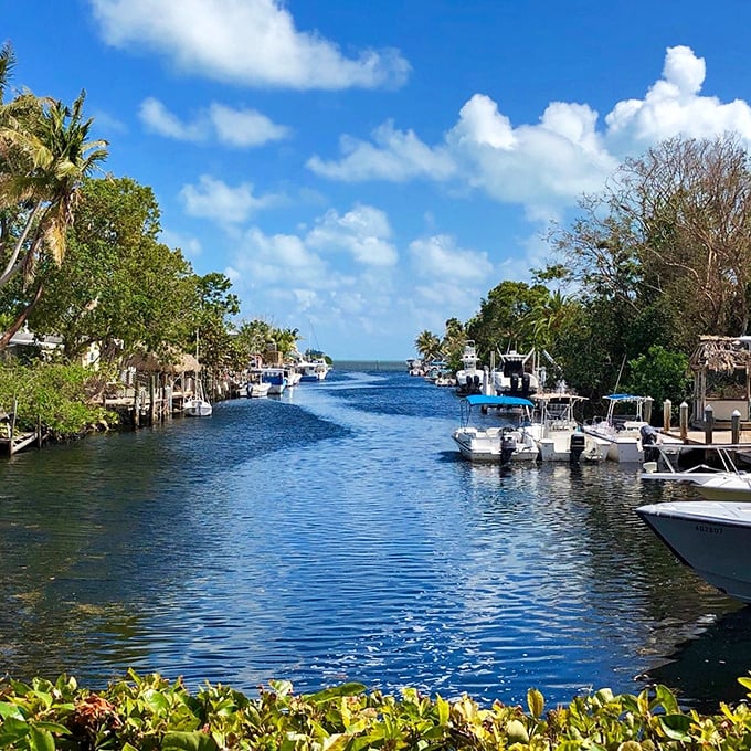 Key Largo's canal system flows like liquid highways, connecting island dreams to mainland realities through crystal-clear waterways.