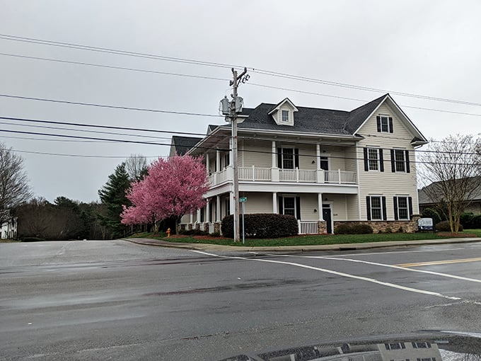 Spring blossoms add a pop of color to Lewisville's classic architecture, creating a scene worthy of a watercolor painting.