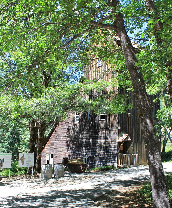 This weathered barn in Sierra City stands as a testament to the region's agricultural heritage amid stunning natural beauty.