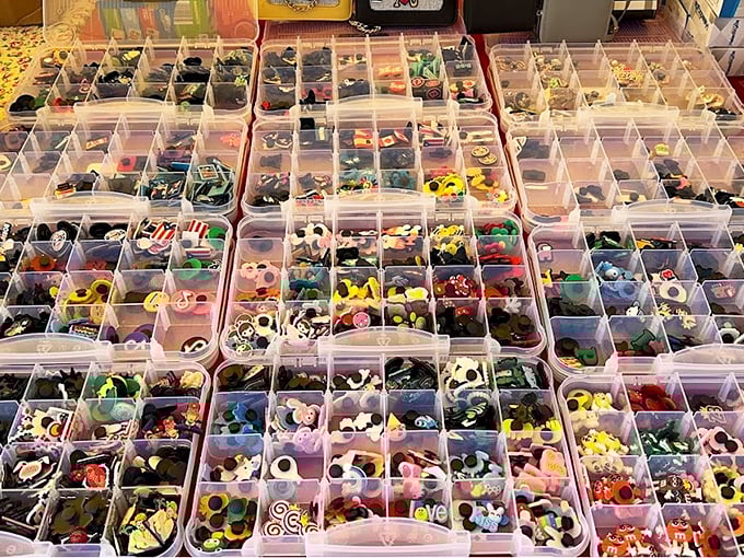 A treasure chest of tiny trinkets, meticulously organized for maximum browsing pleasure. One person's random plastic doodad is another's perfect collection addition.