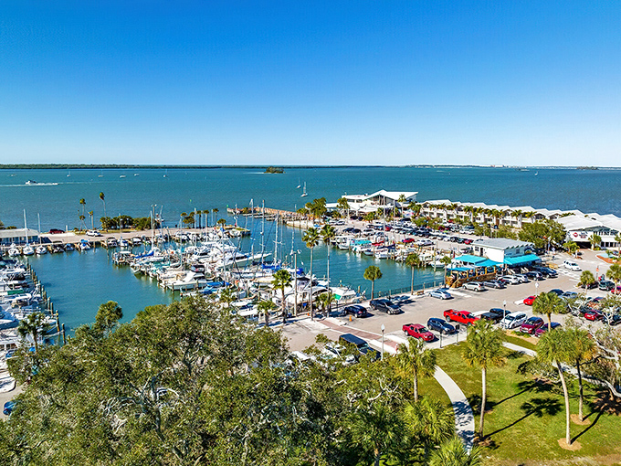 The marina view that launches a thousand "maybe we should move here" conversations between couples visiting from colder climates.