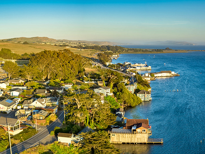 Golden hour transforms Bodega Bay into a painting. Waterfront homes enjoy front-row seats to nature's daily masterpiece of light and color.