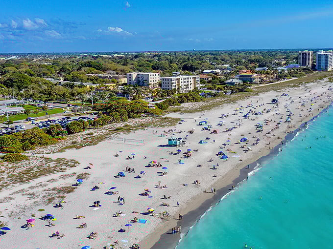 Venice Beach from above reveals the perfect ratio of sand to people&mdash;enough to share but never feel crowded. That turquoise water isn't filtered for Instagram&mdash;it actually looks like that.