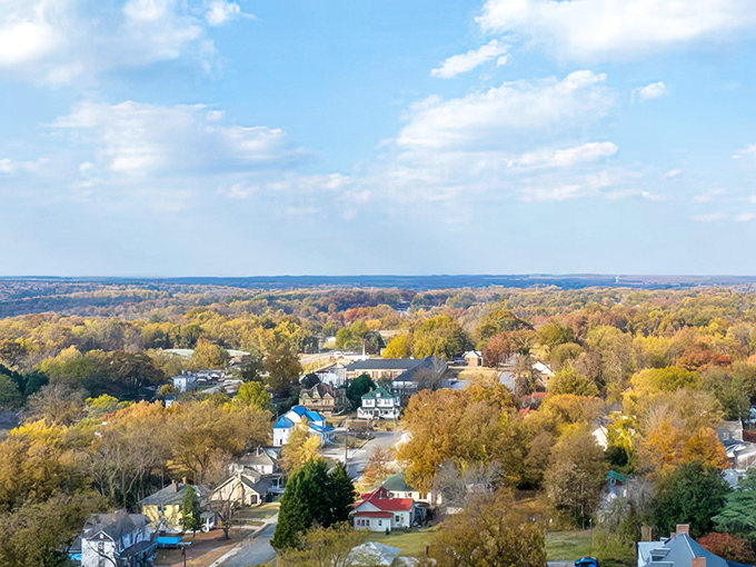 Fall paints Reidsville in nature's most spectacular palette. From up here, you can almost see why people never leave.