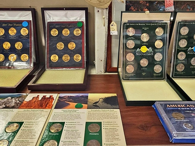 History you can hold in your palm. These coin collections represent both investment opportunity and tangible connection to America's past.