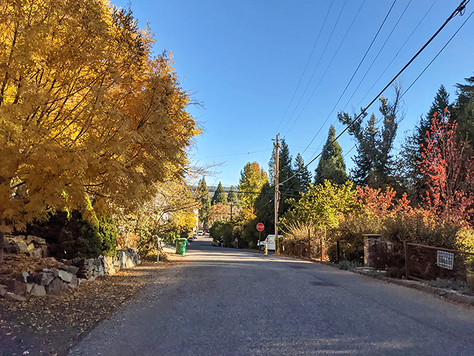 Fall paints Nevada City's residential streets with a palette that would make any artist swoon. Even the quiet neighborhoods here are postcard-perfect.