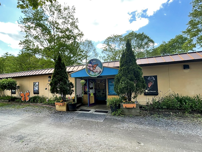 The whimsical entrance to Bear Mountain Butterfly Sanctuary promises magical encounters with nature's most delicate flying jewels, a hidden gem worth discovering.