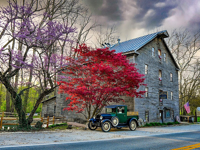 Bear's Mill stands as a working testament to 19th-century ingenuity, where history and craftsmanship blend as smoothly as their stone-ground flours.
