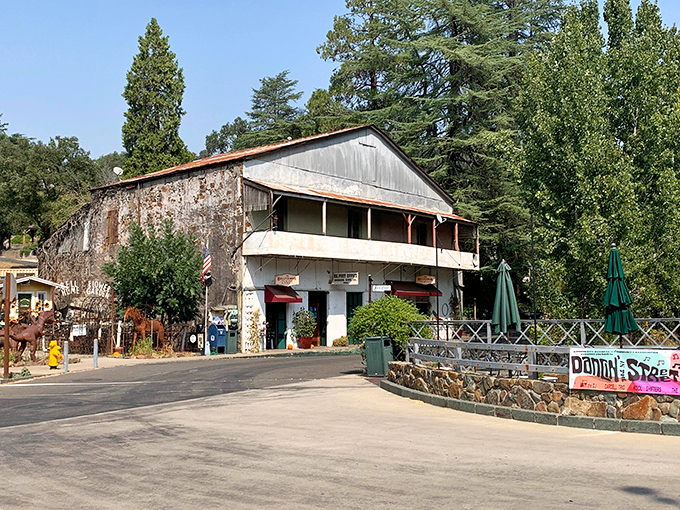 Bellflower Garden Store, where green thumbs gather and even brown thumbs find hope.