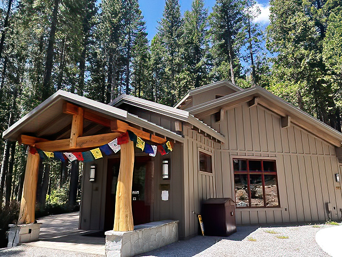 The Big Springs Retreat Center – where the architecture takes its cues from the surrounding forest, and tranquility comes standard.