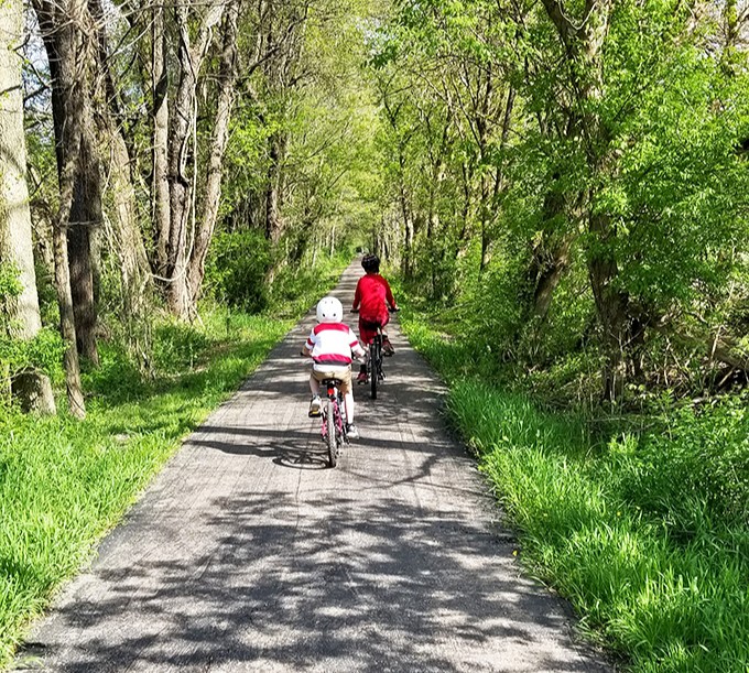 This tree-canopied bike path offers nature's air conditioning in summer and a reminder that the best views often come at pedal-power speed.
