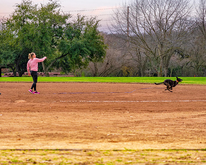 Local parks provide the perfect stage for the timeless dance between human and canine&mdash;one throws, one fetches, both secretly hoping this never ends.