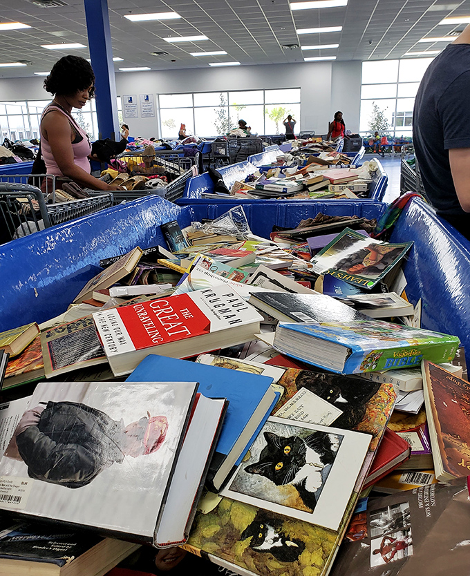 The book section: literary chaos at its finest. Cookbooks nestle against novels, creating unexpected pairings more interesting than some blind dates.