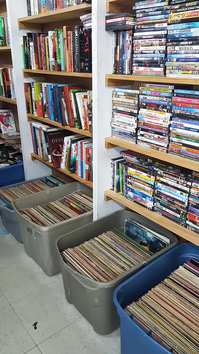 Books and DVDs create a media library spanning decades - your next binge-watch might cost less than a candy bar.