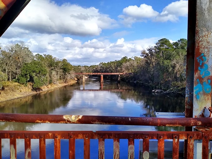 The view from Ellaville's bridge captures the timeless beauty of North Florida's waterways—a scene largely unchanged since the town's heyday.