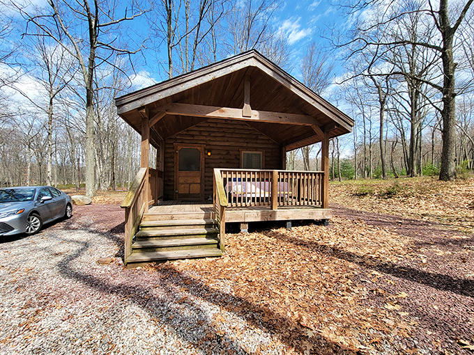 Rustic cabins offer shelter without sacrificing wilderness immersion. Fall asleep to cricket symphonies and wake to birdsong alarm clocks.