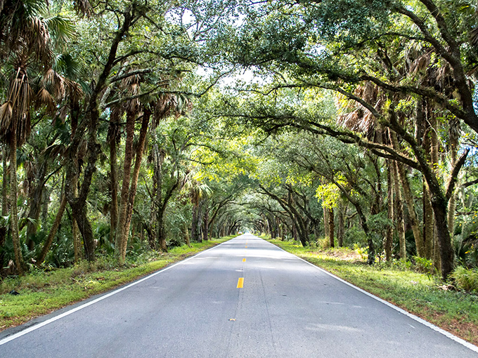 Nature's perfect frame for a Florida sunset. As day turns to dusk, Martin Grade becomes a tunnel of golden light leading to tomorrow's adventures.