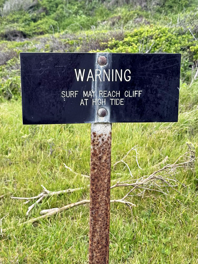 Nature's subtle hint that the Pacific Ocean doesn't always respect boundaries &ndash; high tide transforms these beaches into temporary no-go zones.
