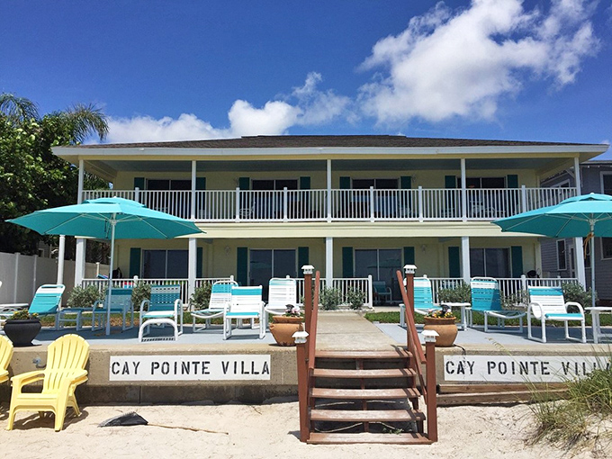 Beachfront accommodations where waking up to ocean views becomes your new favorite morning routine ritual.