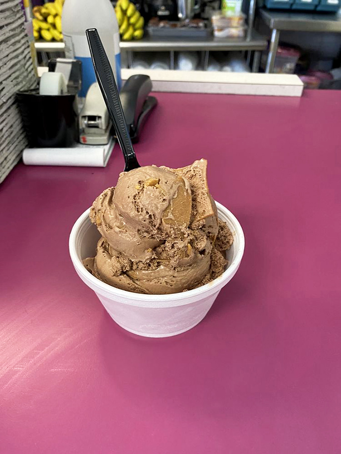 This chocolate peanut butter scoop isn't playing around&mdash;it's the kind of serious dessert commitment that requires both a spoon and a moment of silence.