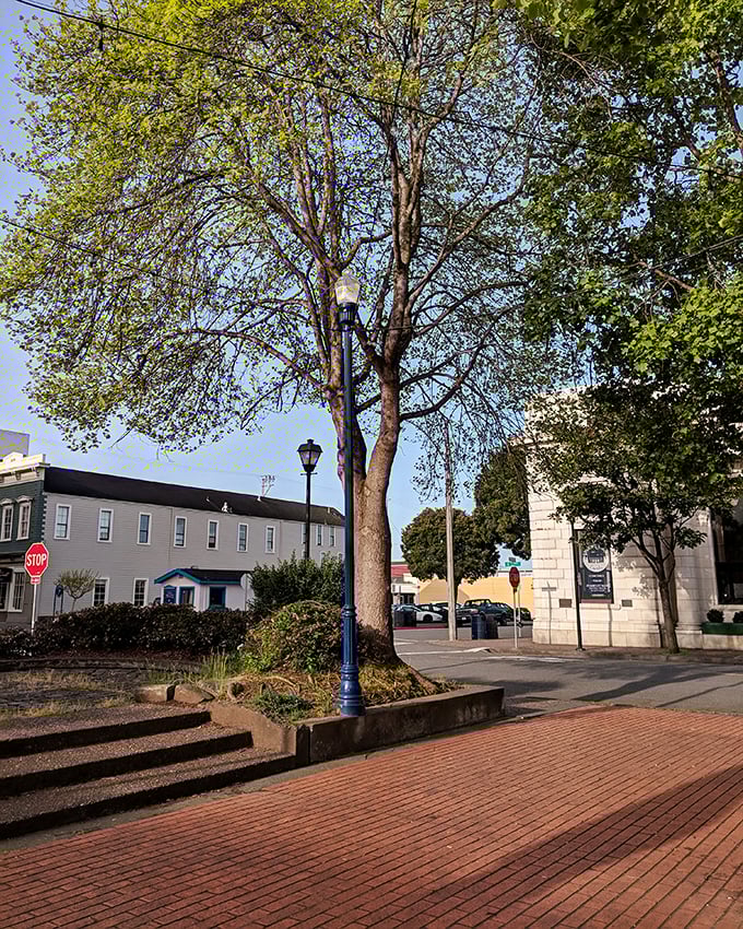 Brick pathways and historic lampposts create Old Town's distinctive charm, where California history is preserved without feeling like a museum exhibit.