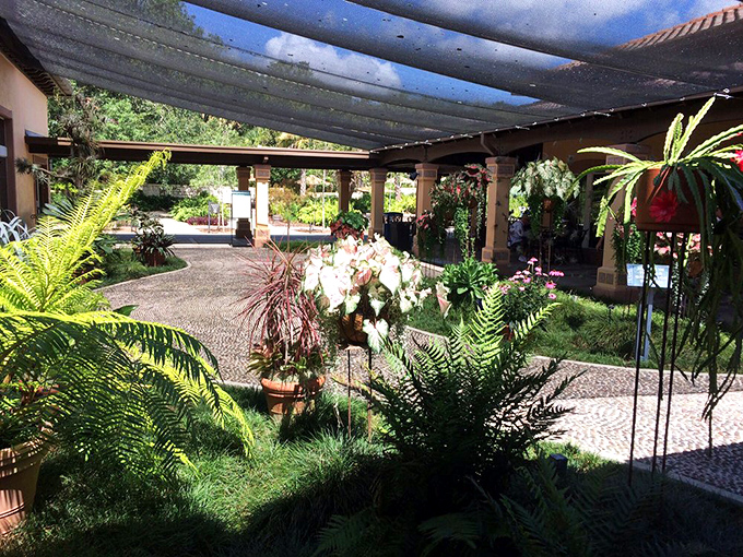 A greenhouse oasis where ferns and flowering plants gather like old friends at the world's most photogenic reunion.