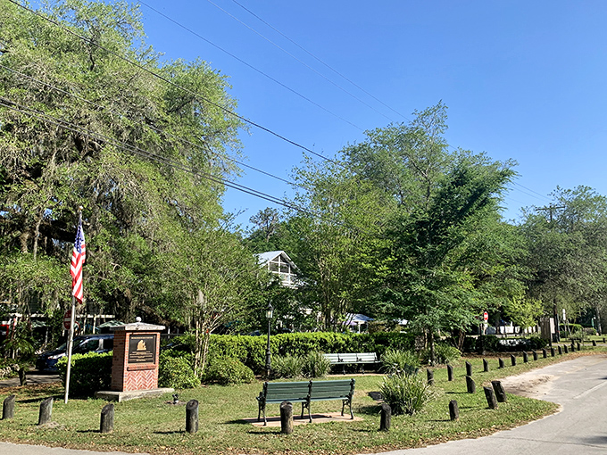 Town parks provide perfect spots for reflection, where ancient oaks offer shade and timeless tranquility.