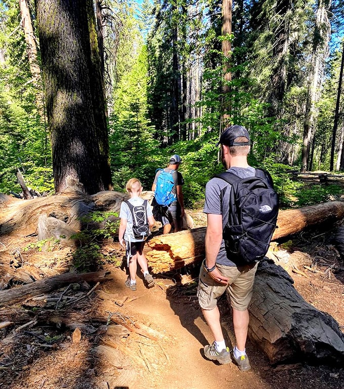 Hiking Yosemite's trails with family creates memories more lasting than any souvenir – though the gift shops will certainly try to convince you otherwise.