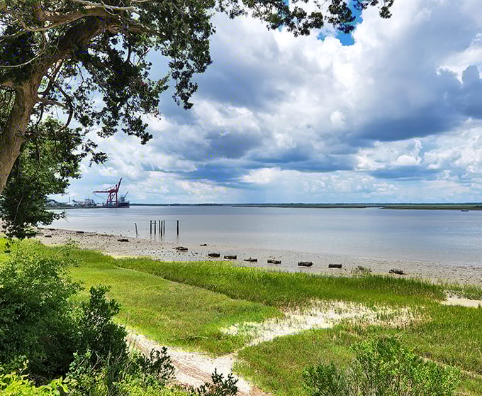 Fernandina Plaza Historic State Park provides a serene waterfront vista where shipping channels meet wilderness&mdash;industrial poetry that even Whitman would appreciate.