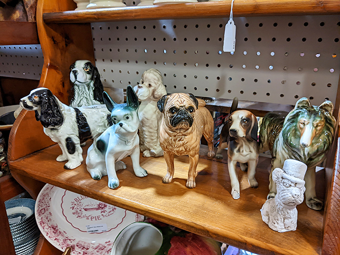A pack of ceramic canines stands guard over vintage dishware. The pug in the middle has definitely seen some things in his porcelain lifetime.