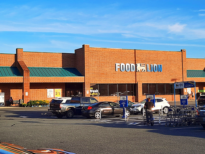 Food Lion serves as Harrington's grocery backbone, where weekly shopping becomes a neighborly affair rather than an anonymous errand.