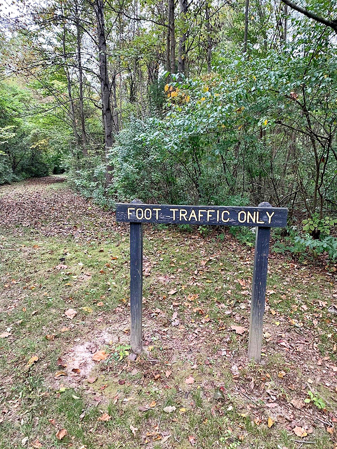 "Foot Traffic Only"&mdash;three words that promise the best kind of journey: one where you can hear your own thoughts and the whispers of the forest.