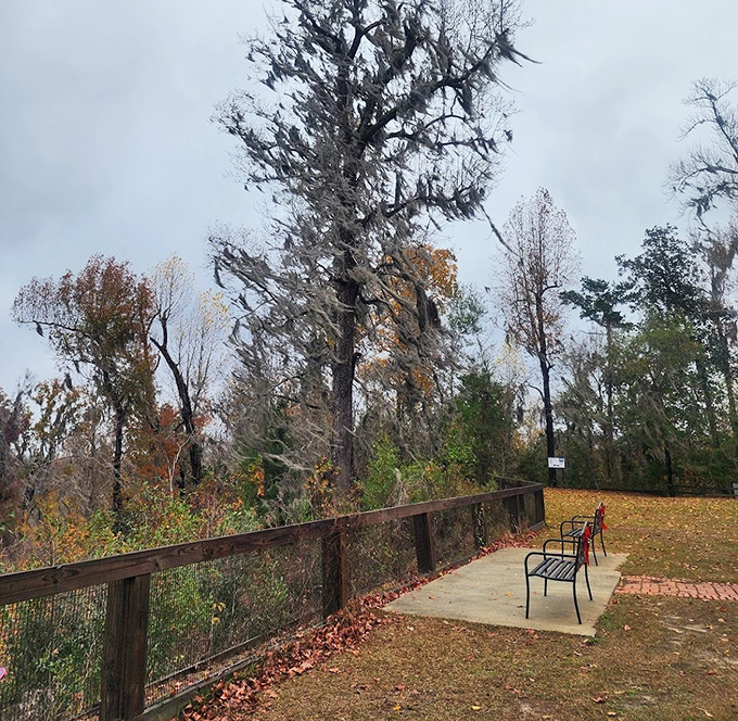This bench offers contemplation with a side of spectacular views &ndash; the original meditation app, no subscription required.