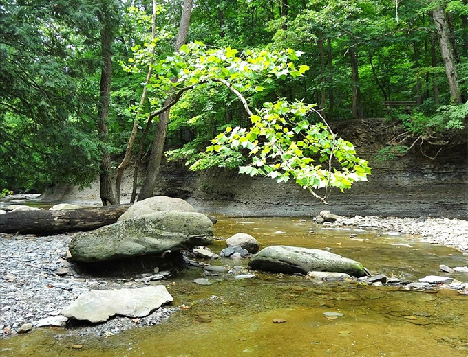 The quiet aftermath &ndash; downstream from the dramatic falls, Brandywine Creek finds its gentle rhythm again, inviting contemplation among the stones.