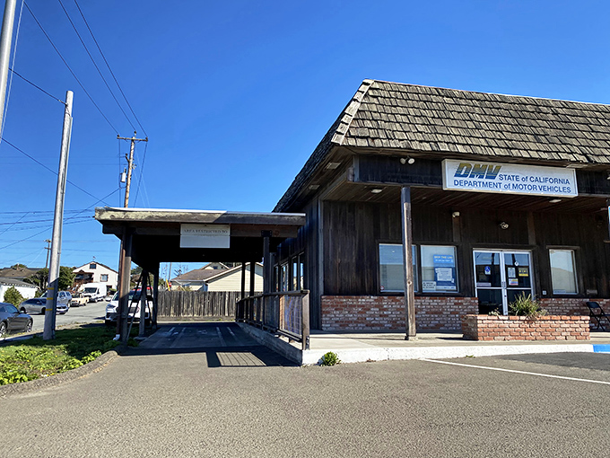 Even Fort Bragg's DMV has rustic charm&mdash;possibly the only place in California where renewing your license feels like visiting a national park ranger station.