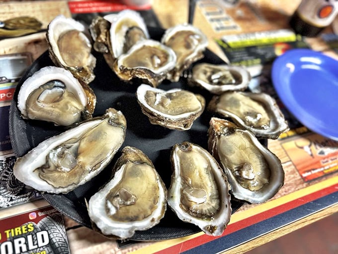 Raw oysters so fresh they practically introduce themselves. "Hello, I'm delicious. Pleased to meet your taste buds."