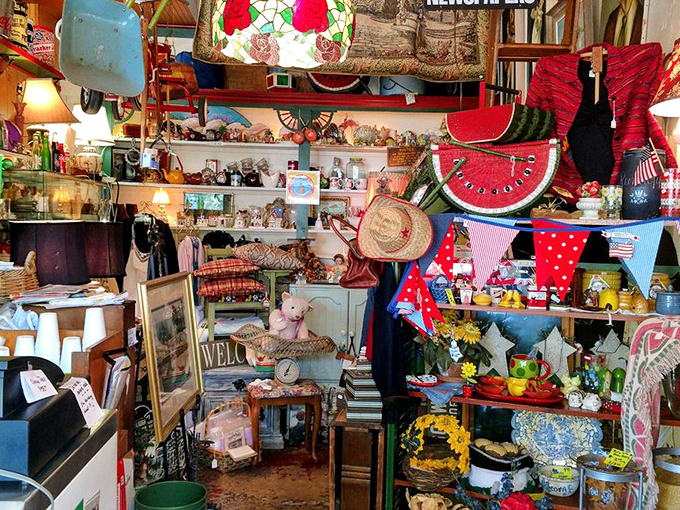 One person's antique shop is another's treasure hunt &ndash; Micanopy knows how to multitask.