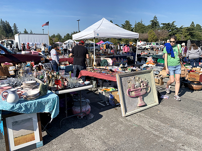 15. glassware and decor