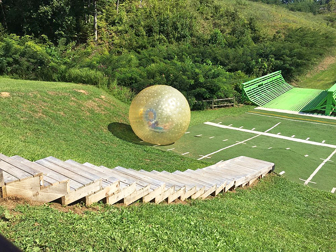 What goes down must come back up! These wooden stairs represent the only real workout at a park dedicated to the joy of controlled falling.