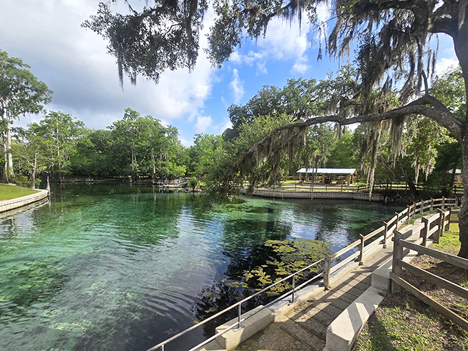 Hunter Springs Park delivers that perfect Florida postcard moment&mdash;crystal clear water, graceful cypress trees, and not a single souvenir shop in sight.