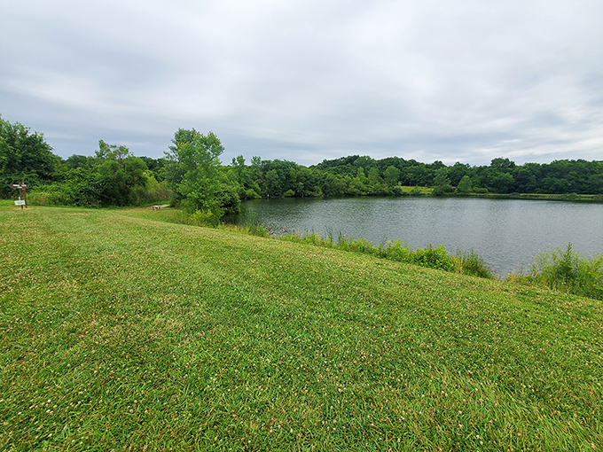 Infirmary Mound Park's rolling meadows beside tranquil waters create the perfect setting for peaceful afternoon contemplation.