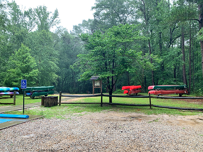 Colorful kayaks wait patiently for their next adventure, like eager puppies hoping you'll pick them for the journey through Aiken's pristine waterways.