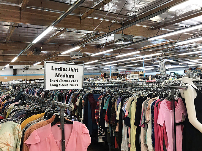 Ladies' fashion organized by size and sleeve length. The thrift store equivalent of having your own personal shopper – minus the intimidation factor.