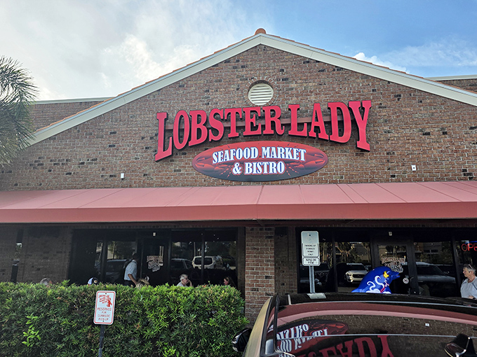 Lobster Lady's sign promises seafood so fresh it practically introduces itself. The parking lot's perpetually full for good reason.