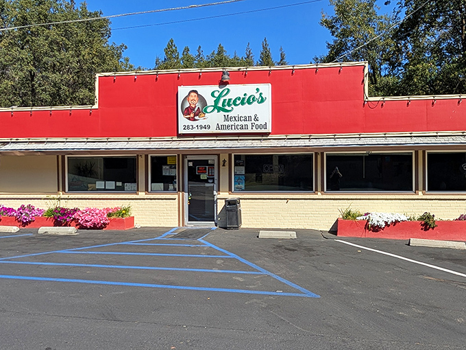 Lucio's vibrant exterior promises what every great local Mexican spot delivers&mdash;food that's been perfected through generations rather than focus groups.