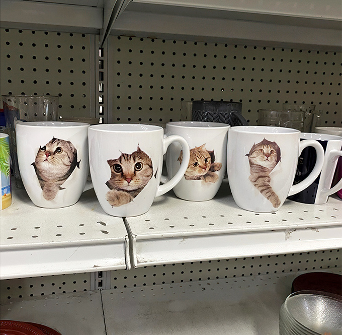 These feline mugs are the ultimate thrift store triumph. Someone's impulse purchase becomes your morning coffee's new best friend&mdash;quirky, charming, and impossible to resist.