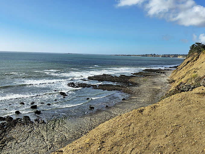 The Skyline to the Sea Trail's ultimate reward: the Pacific Ocean. After miles of forest immersion, the coastline appears like nature's grand finale, complete with crashing wave soundtrack.
